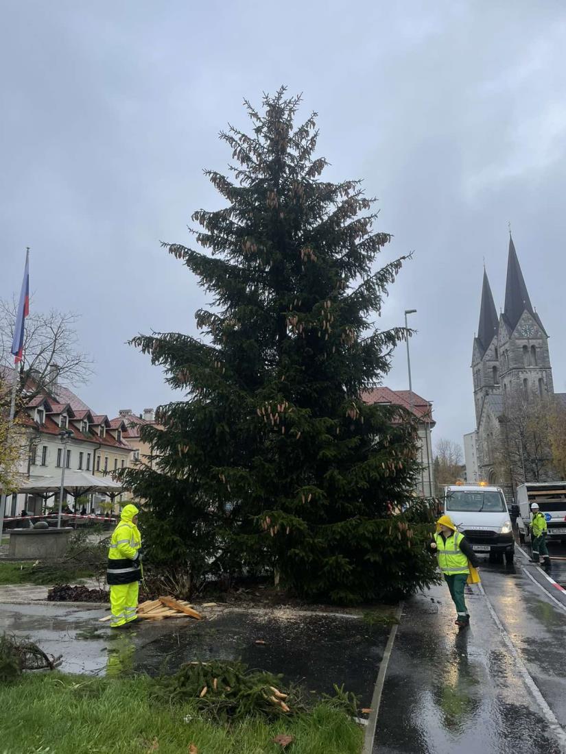 Novoletna smreka že na mestni ploščadi - kocevje.si